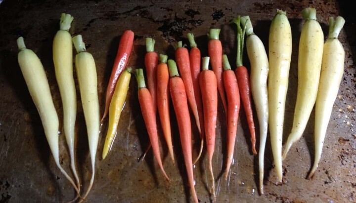 Best Sautéed Carrots Recipe (10 Minutes Restaurant-Style) - Biting at ...