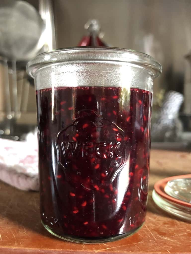 10-Minute Homemade Berry (Licious) Sauce - Biting at the Bits