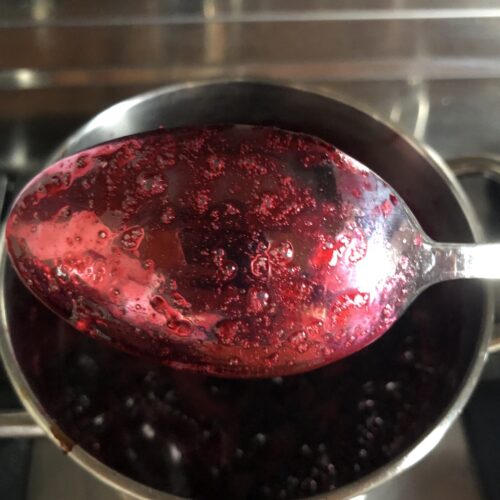 10-Minute Homemade Berry (Licious) Sauce - Biting at the Bits