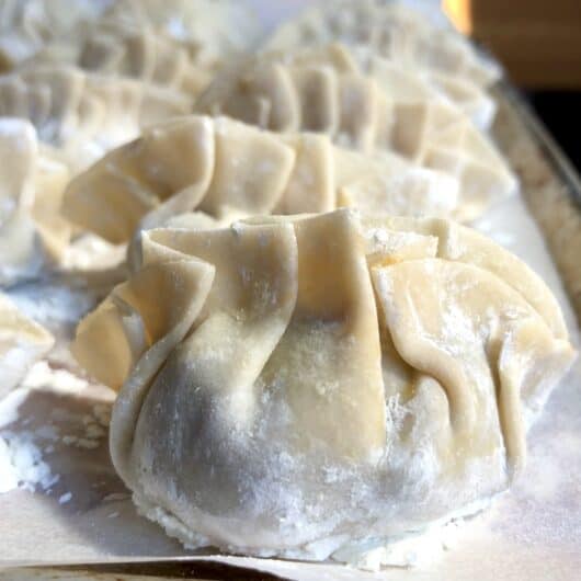 Best Ever Chinese Chicken Dumplings (Plump and Juicy Jiaozi) - Biting ...
