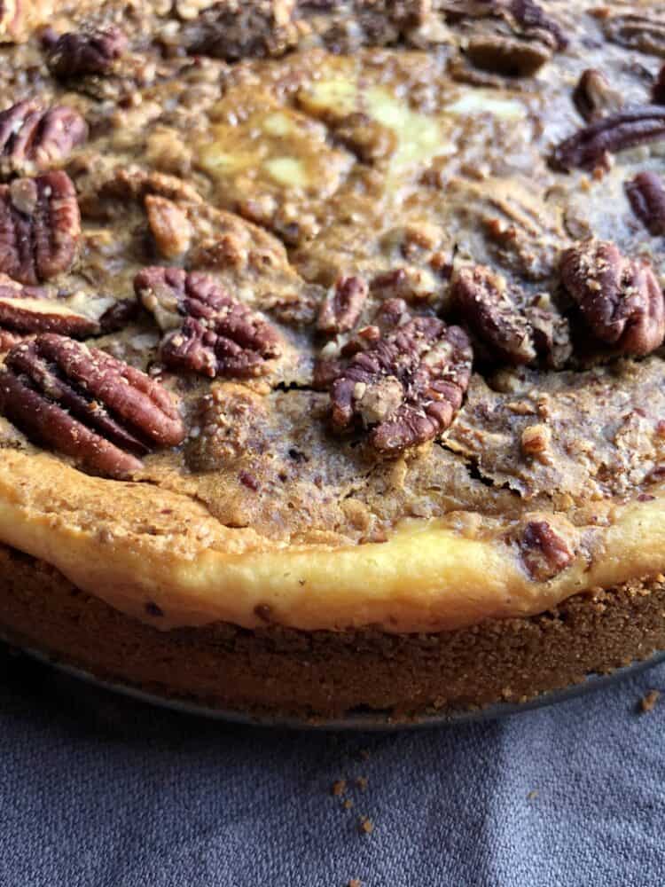Easy Pecan Tassie Cheesecake with Biscoff Crust - Biting at the Bits
