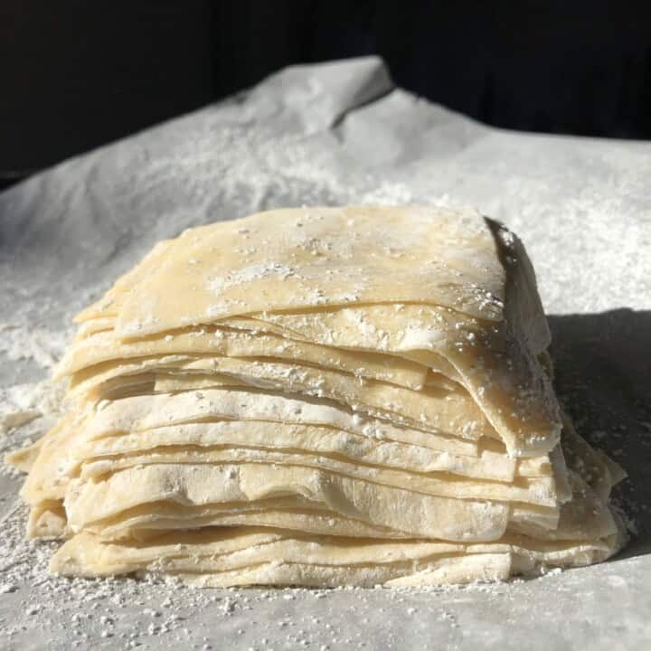 Easy Homemade Wonton Wrappers (Using Bread Flour) - Biting at the Bits