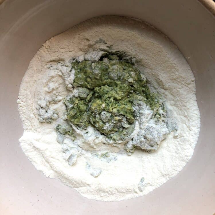 Spinach Pasta Dough (Using Semolina Flour) - Biting at the Bits