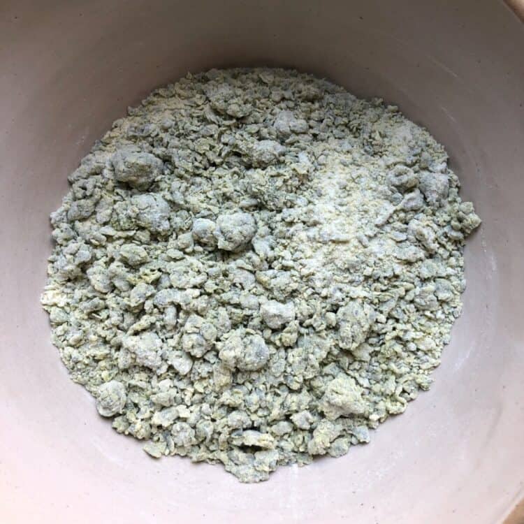Spinach Pasta Dough (Using Semolina Flour) - Biting at the Bits
