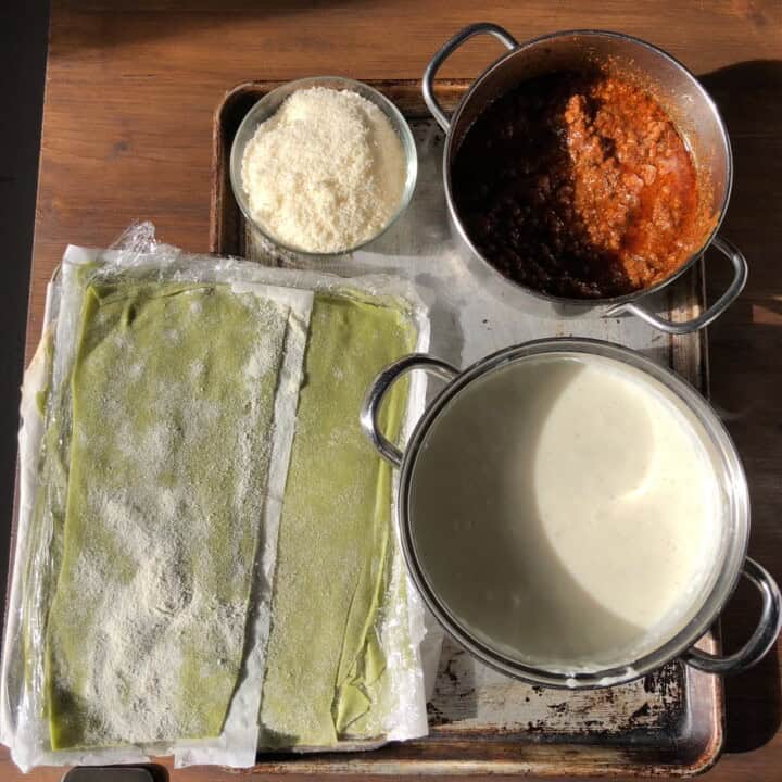 Fresh Spinach Pasta Dough (Using 00 Flour + Video) - Biting at the Bits