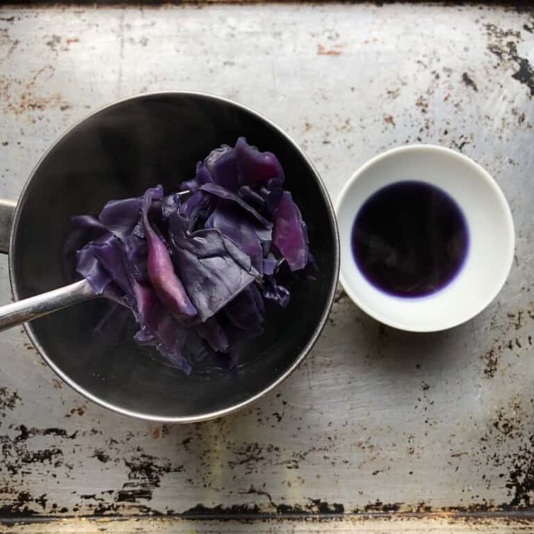 Naturally Colored Dumpling Wrappers (For Chinese New Year (春节) - Biting ...
