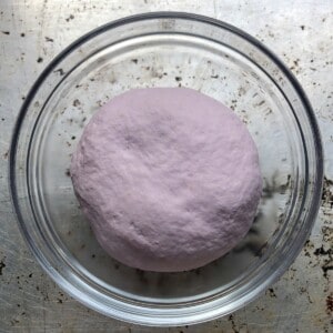 Naturally Colored Dumpling Wrappers (For Chinese New Year (春节) - Biting ...