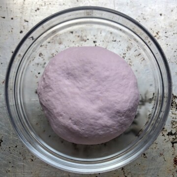 Naturally Colored Dumpling Wrappers (For Chinese New Year (春节) - Biting ...