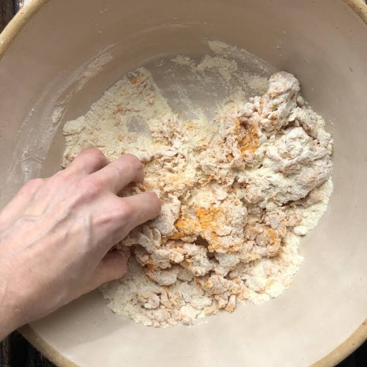 Pumpkin Pasta Recipe (Easy Homemade Pasta Dough) - Biting at the Bits