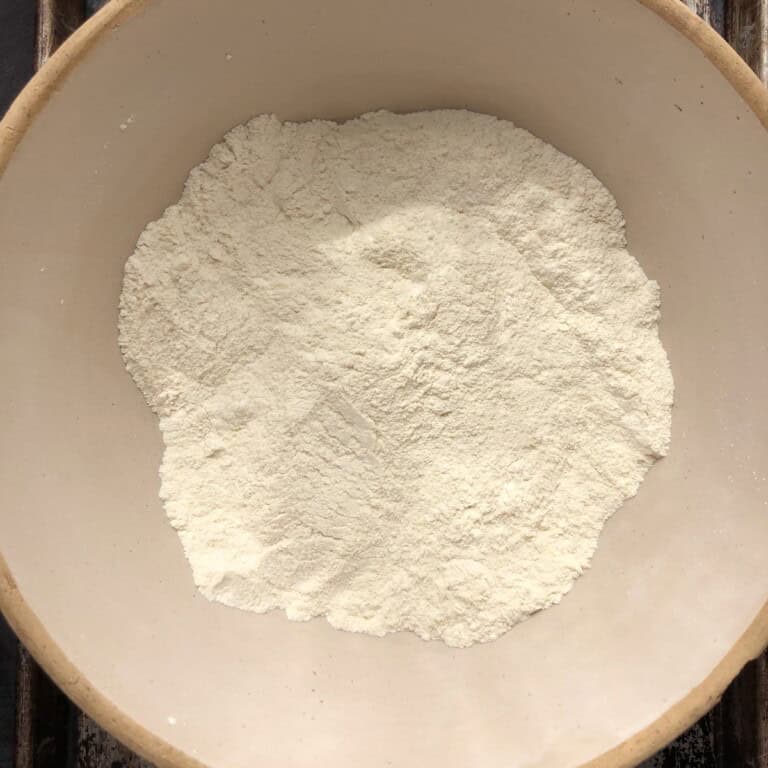 Pumpkin Pasta Recipe (Easy Homemade Pasta Dough) - Biting at the Bits